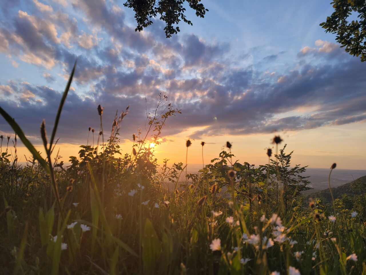 Melchingen - Sonnenbühl Tourismus
