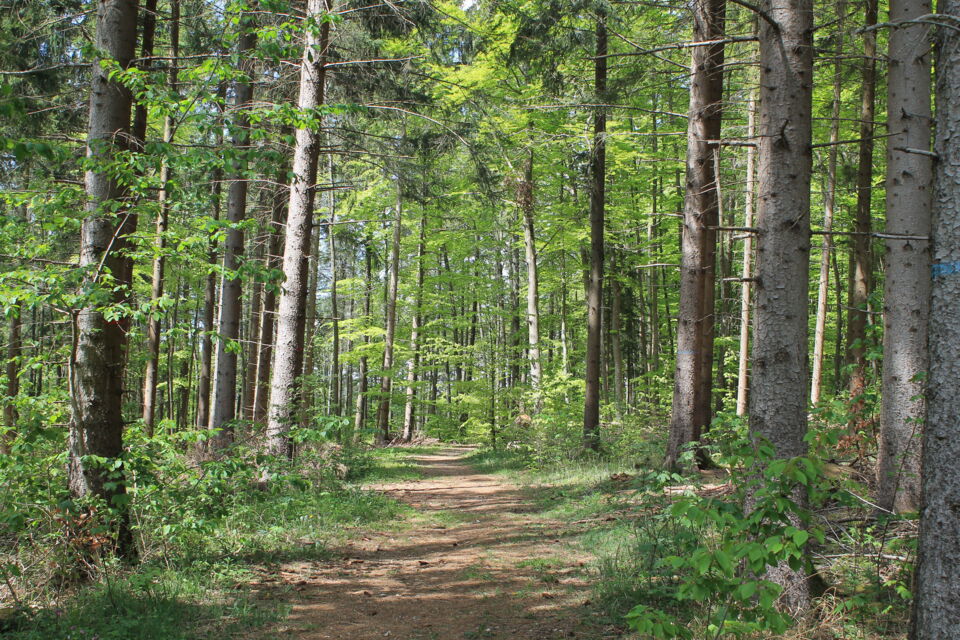 Melchingen - Sonnenbühl Tourismus