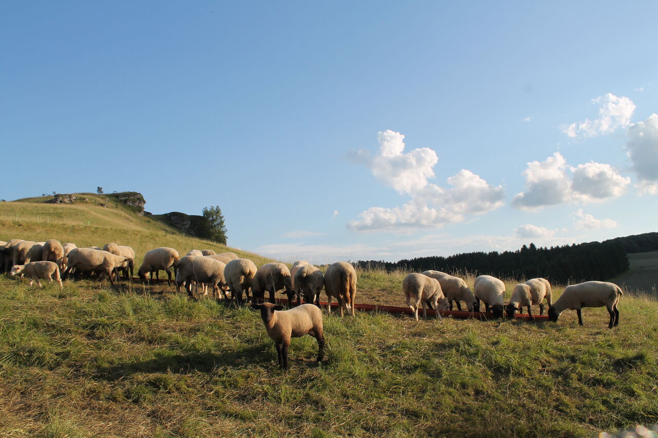Melchingen - Sonnenbühl Tourismus